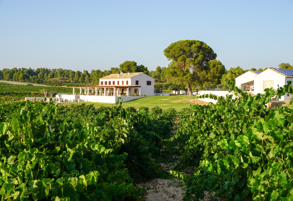 Your 2023 guide to Valencia wine region | Winetourism.com