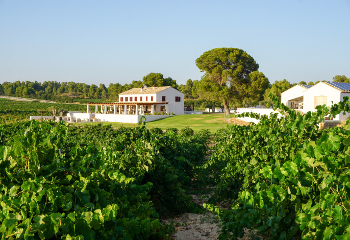 Your 2023 guide to Valencia wine region | Winetourism.com