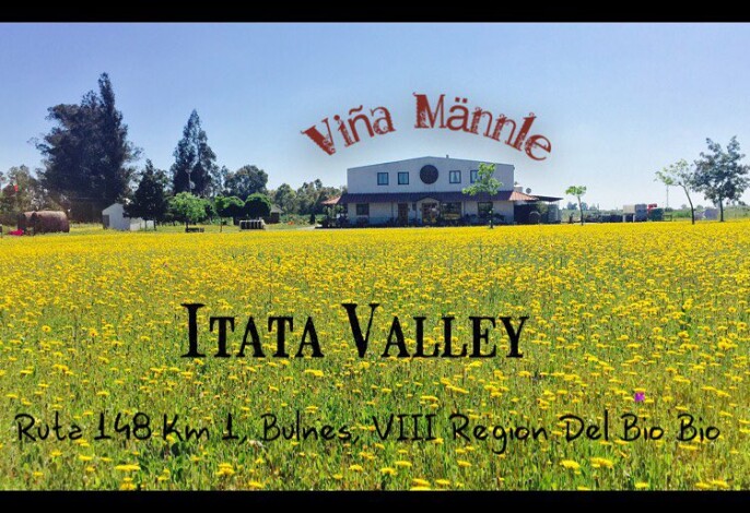 10 best wineries in Chile to visit in 2023 | Winetourism.com