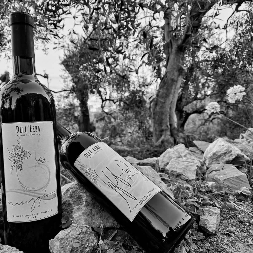 Azienda Agricola Dell’Erba - Winery in Liguria | Winetourism.com