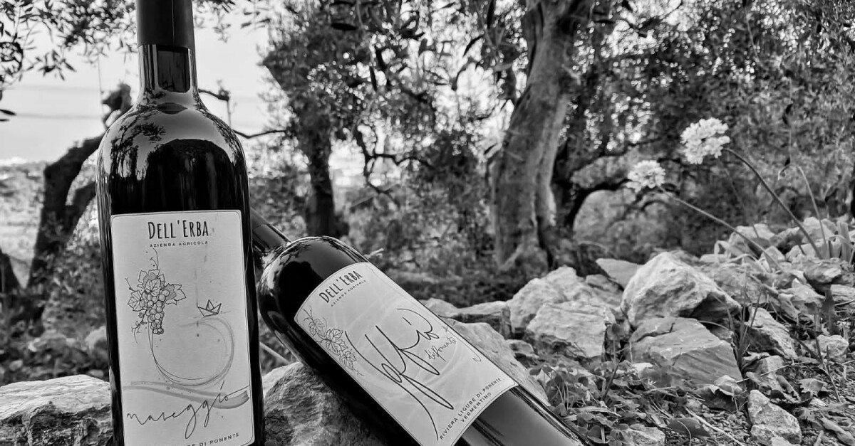 Azienda Agricola Dell’Erba - Winery in Liguria | Winetourism.com