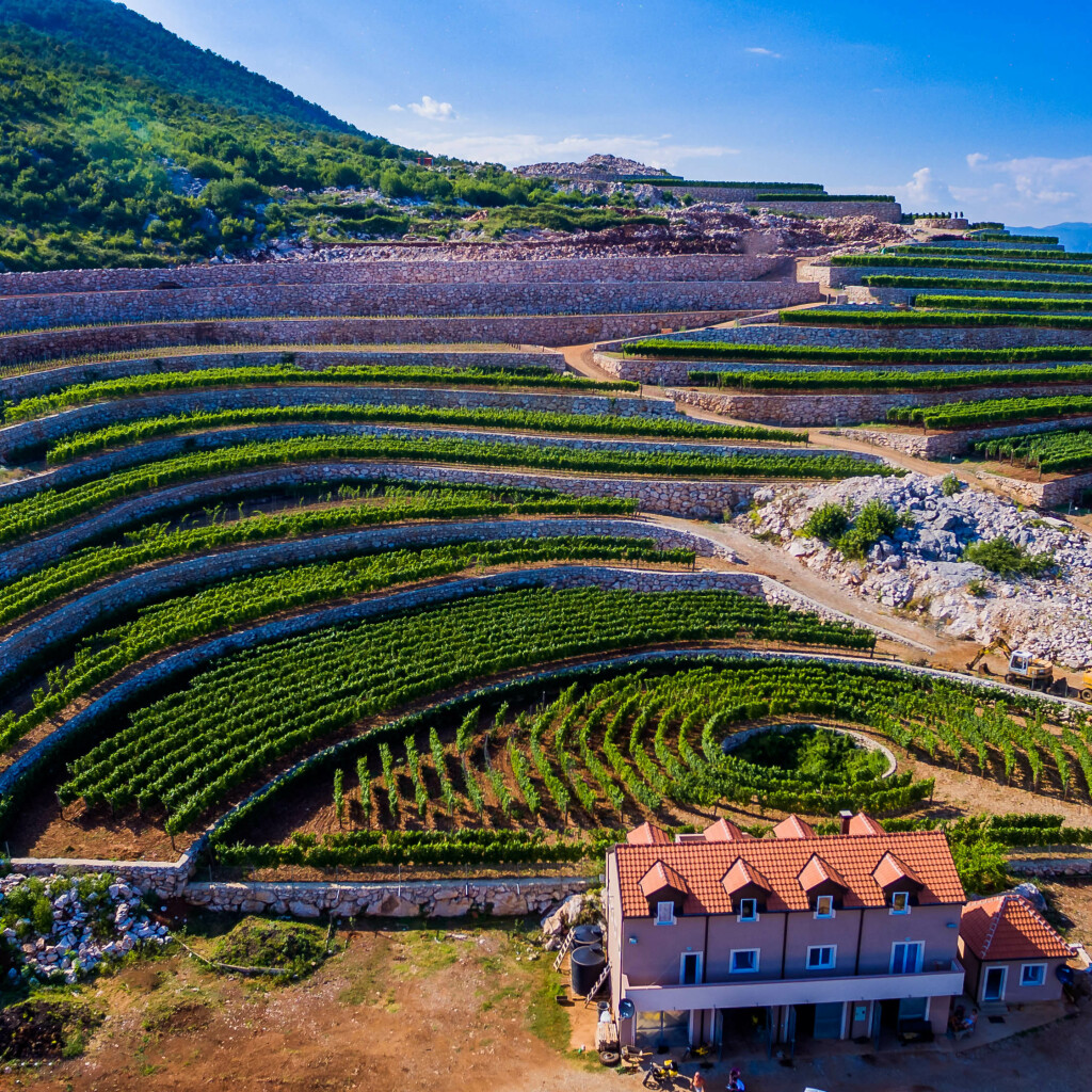 Lipovac Winery - Winery in Skadar Lake | Winetourism.com