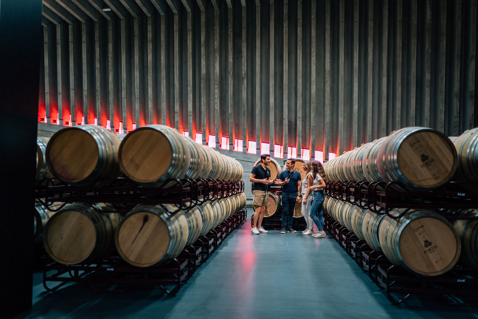 Premium Winery Day Tour: Two of the Best Ribera del Duero's Wineries ...
