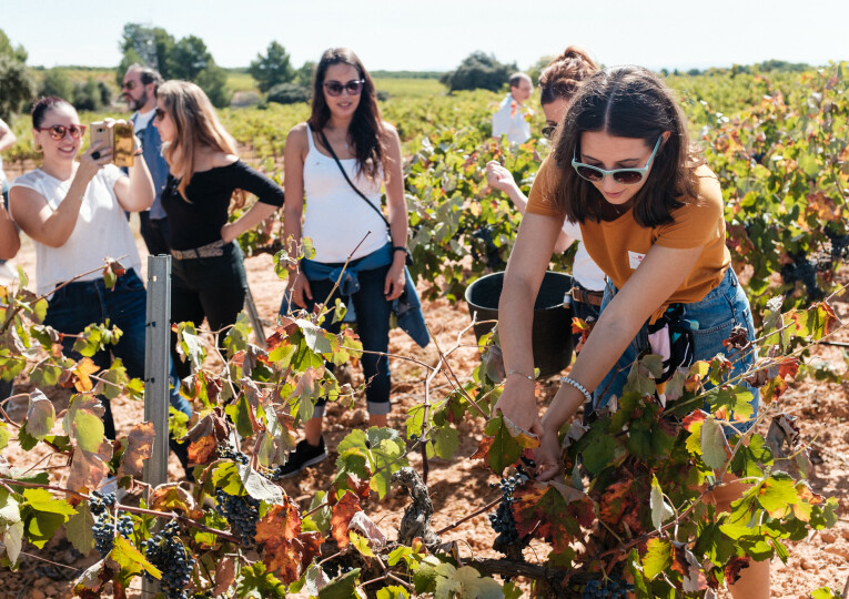 Utiel-Requena - Wine Region in Valencia, Spain | Winetourism.com