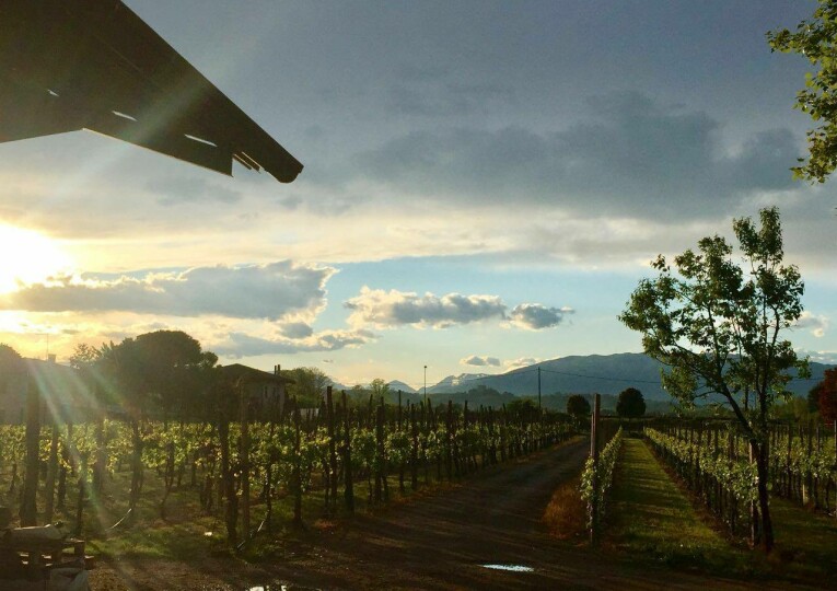 10 best wineries in Veneto to visit in 2022 | Winetourism.com