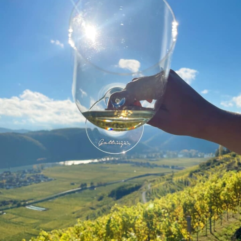 Weingut Gattinger - Winery in Lower Austria | Winetourism.com