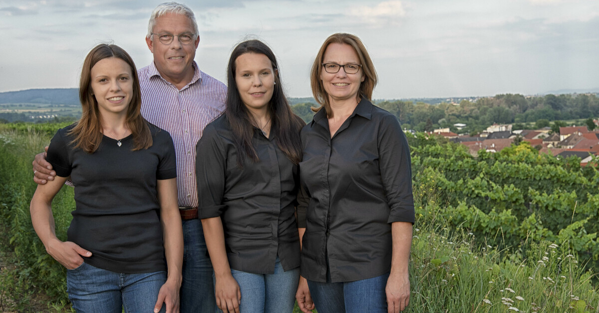 Weingut Andreas Schmid - Winery in Lower Austria | Winetourism.com
