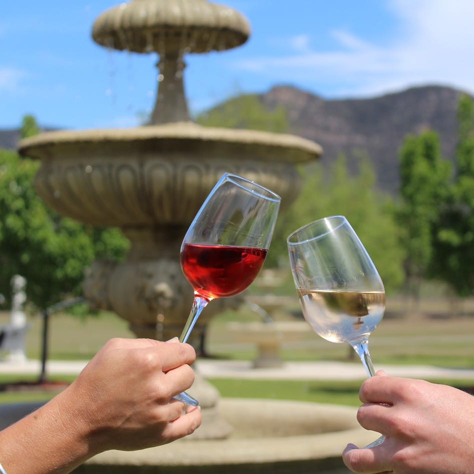 Leogate Estate Wines - Visit and Tour around Leogate Estate Villas in ...