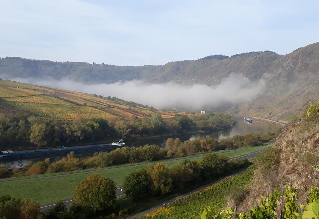 10 best wine tours & tastings in Burg Cochem 2023 | Winetourism.com