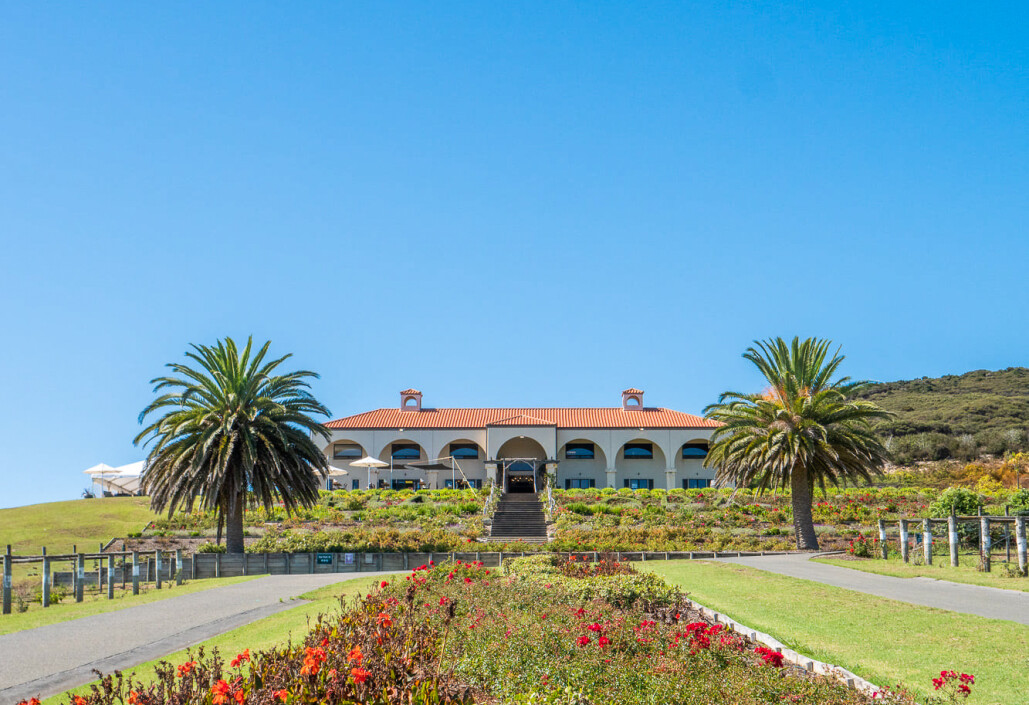 Your 2023 guide to Auckland region | Winetourism.com