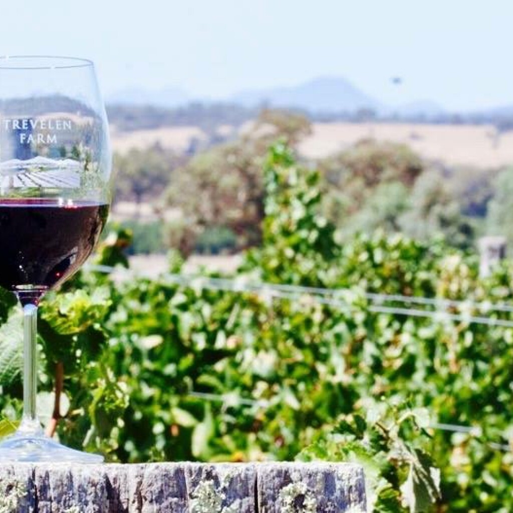 Trevelen Farm Wine Tasting & Scenic Vineyard Views | Winetourism.com