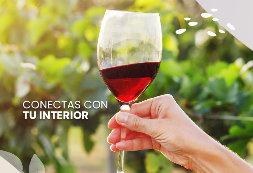 10 best wineries in Querétaro to visit in 2023 | Winetourism.com