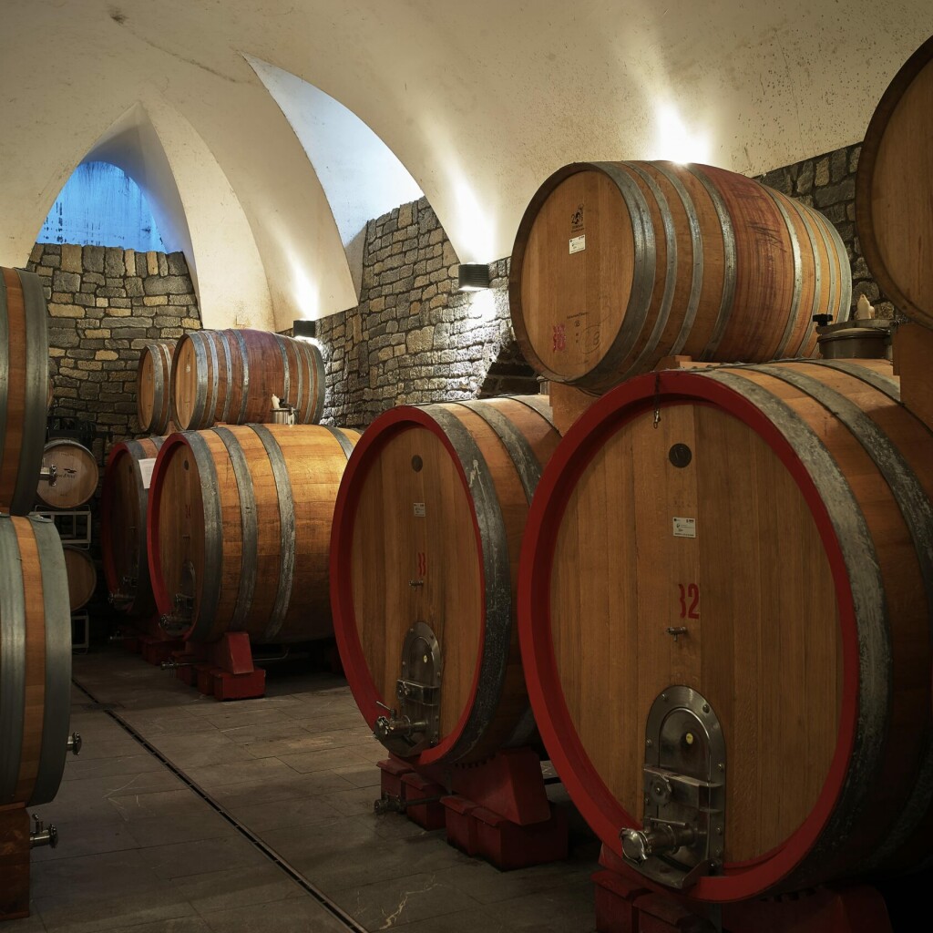 Wine Discovery Taurasi - Guided Wine Tour in Campania | WineTourism.com