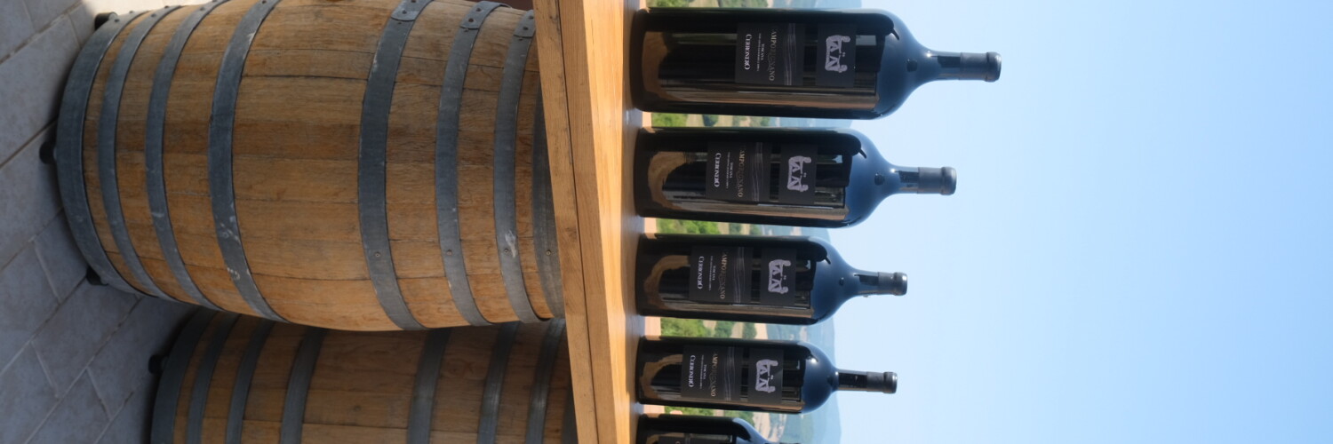 Fattoria Camporignano - Winery in Tuscany | Winetourism.com