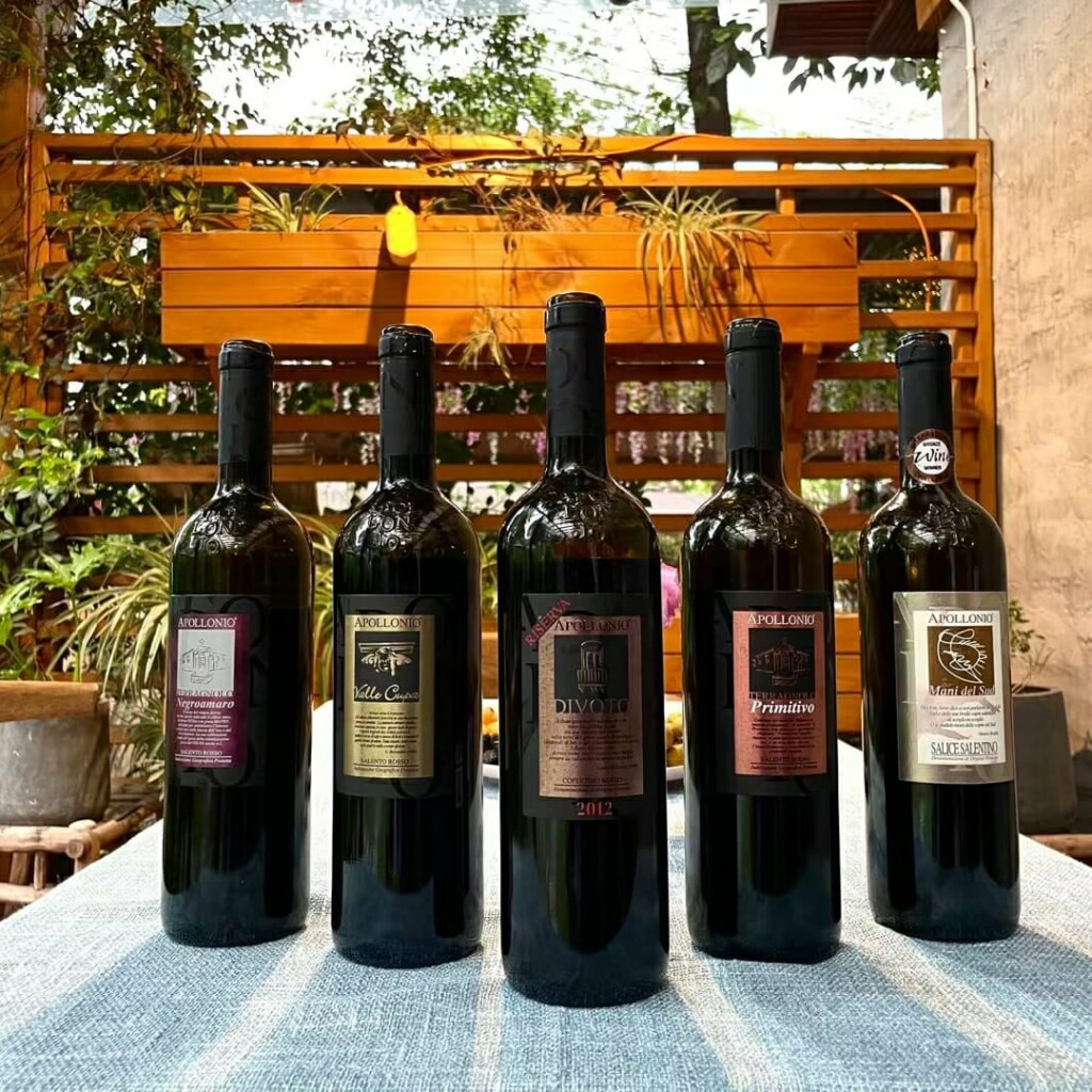 Apollonio 1870 - Fresh Wine Tasting at Apollonio 1870 Winery in Puglia ...