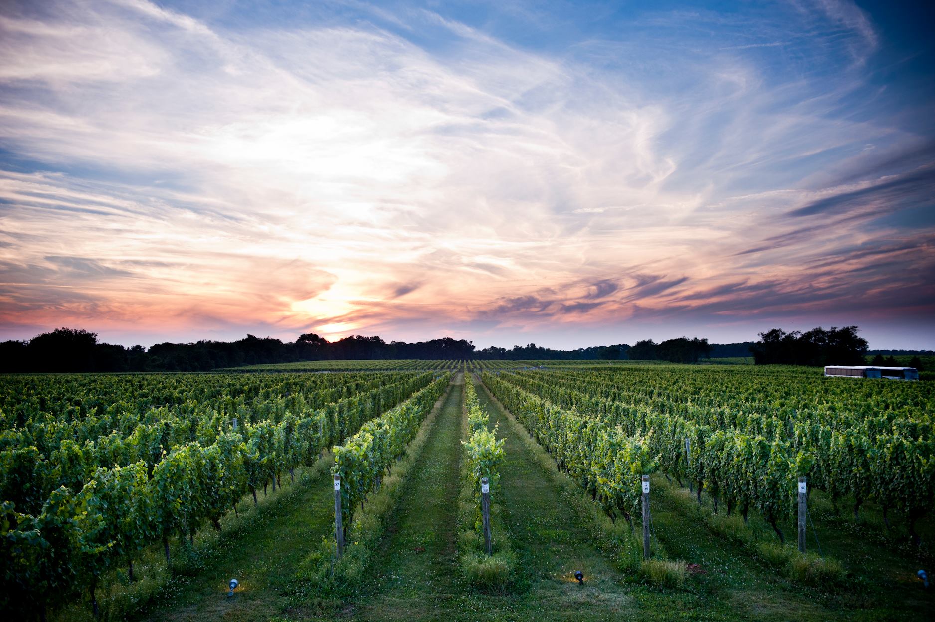 Apollonio 1870 - Classic Wine Tasting in Puglia | Winetourism.com