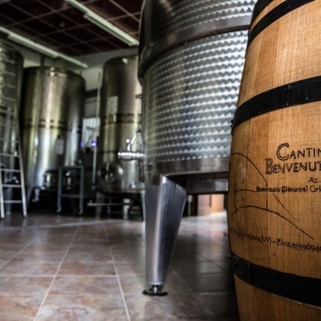 Cantine Benvenuto - Winery in Calabria | Winetourism.com