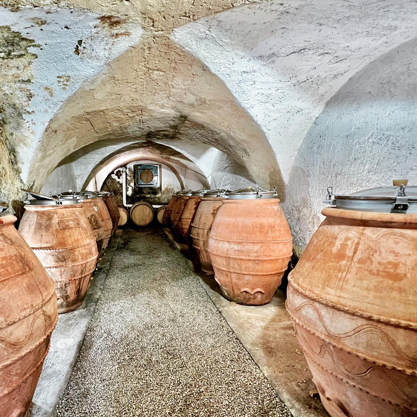 Château Constantin - Winery in Provence | Winetourism.com