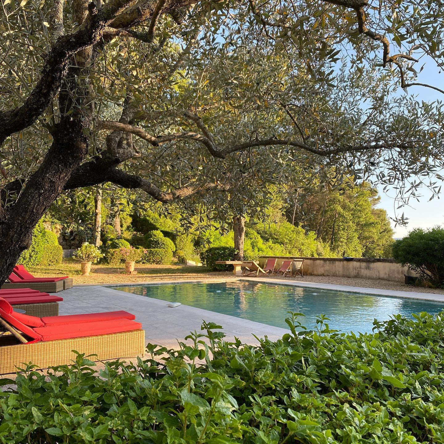 Château Constantin - Winery in Provence | Winetourism.com