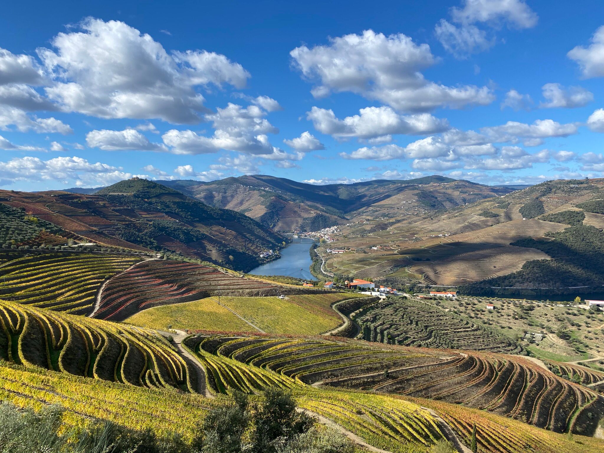 The Douro Valley Unique Experience - Guided Wine Tour in Porto & Douro ...