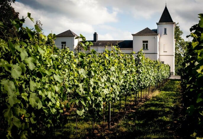 Wijndomein Gloire de Duras - Winery in Wallonia | Winetourism.com