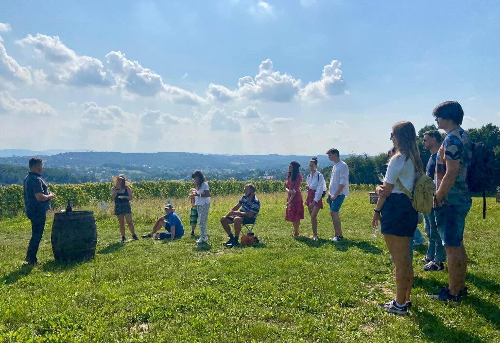 Your 2023 guide to best outdoor wine activities in Pawlikowice ...