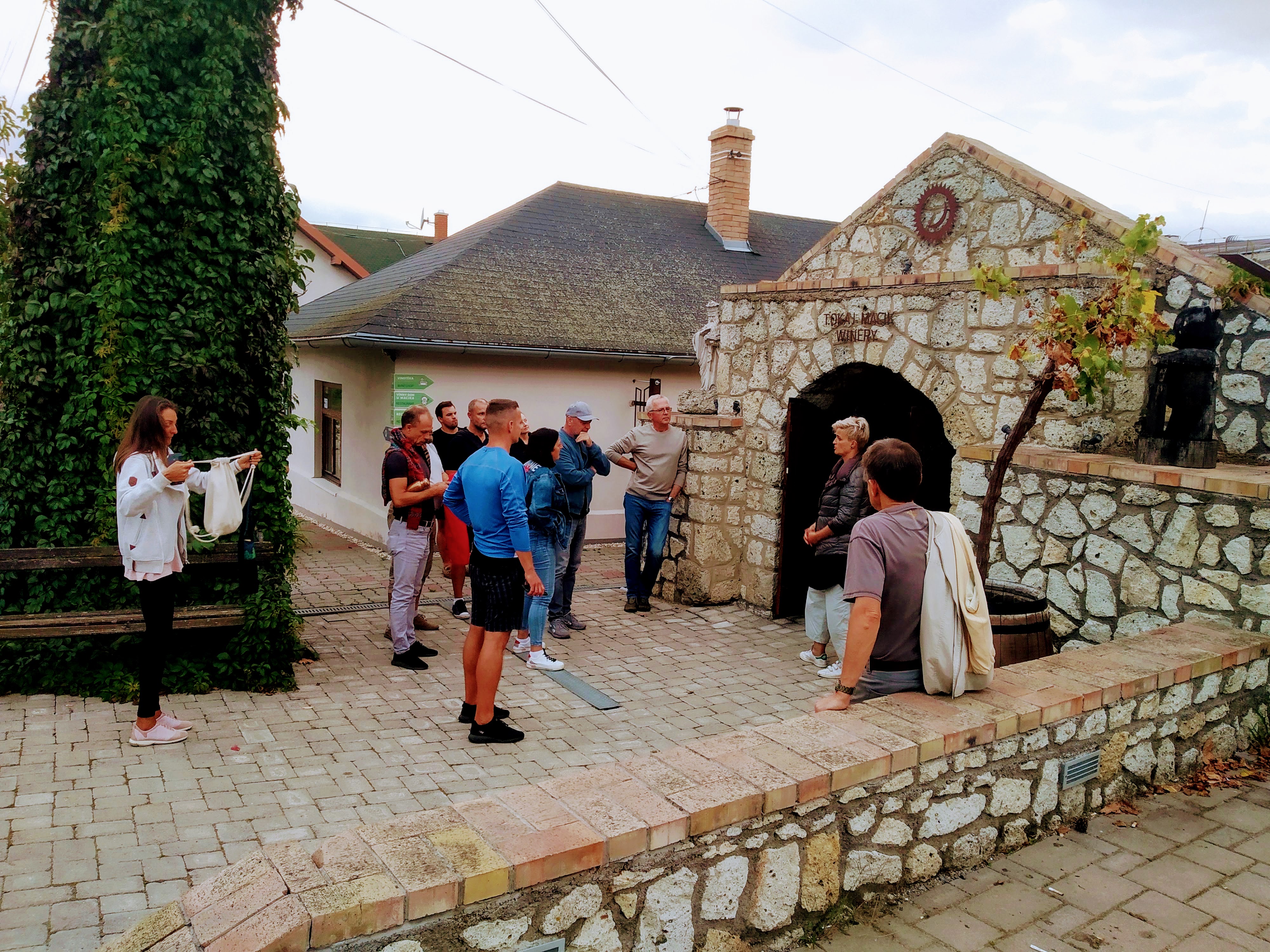Wine tasting in Tokaj wine region - Guided Wine Tour in Upper Hungary ...