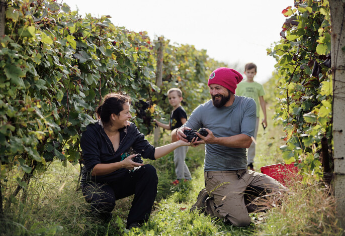 Obelisk Winery - Wine Tasting at Obelisk Winery in Moravia ...