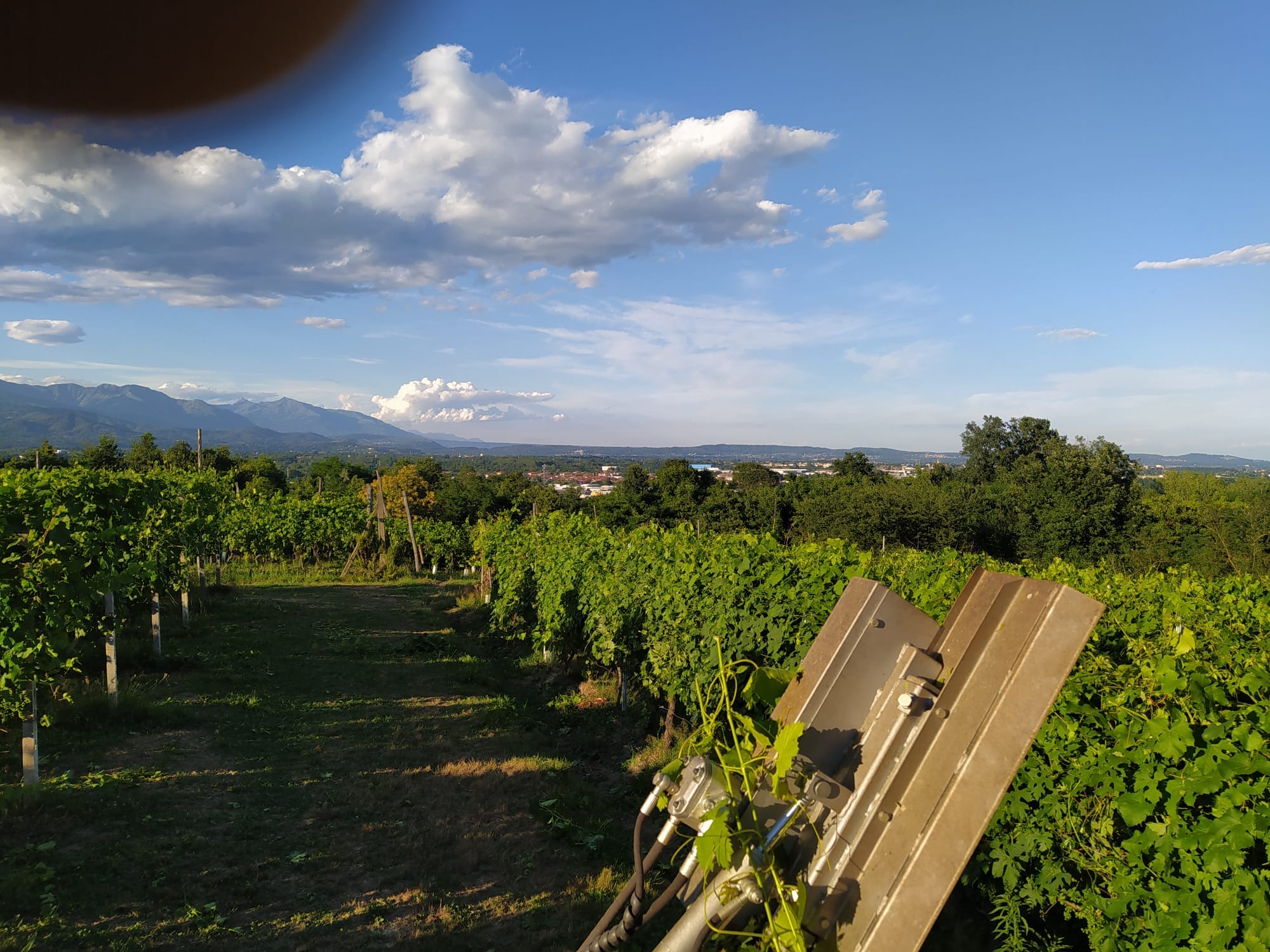 Le Masche - Winery in Piedmont | Winetourism.com