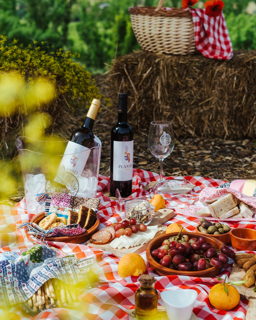 Portugal - Picnic at Wine at Quinta Da Plansel in Evora | Winetourism.com