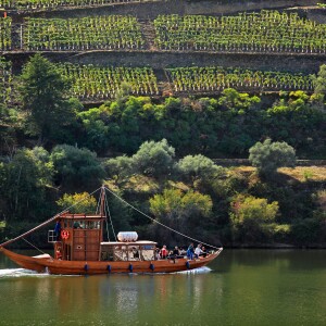 Douro Valley Historical Tour - Ancient villages, Winery, Cruise and ...