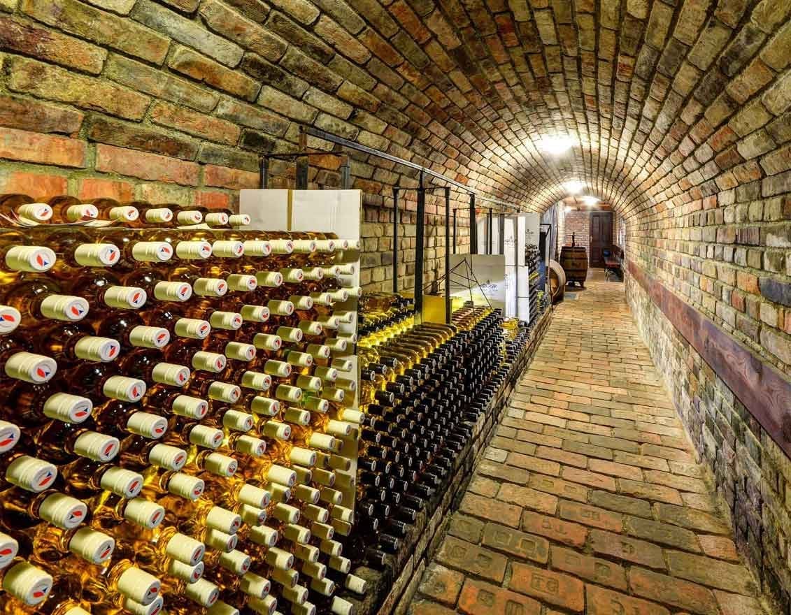 Laurent Šatov Winery - Tasting Wine Cellar at Laurent Šatov Winery in ...