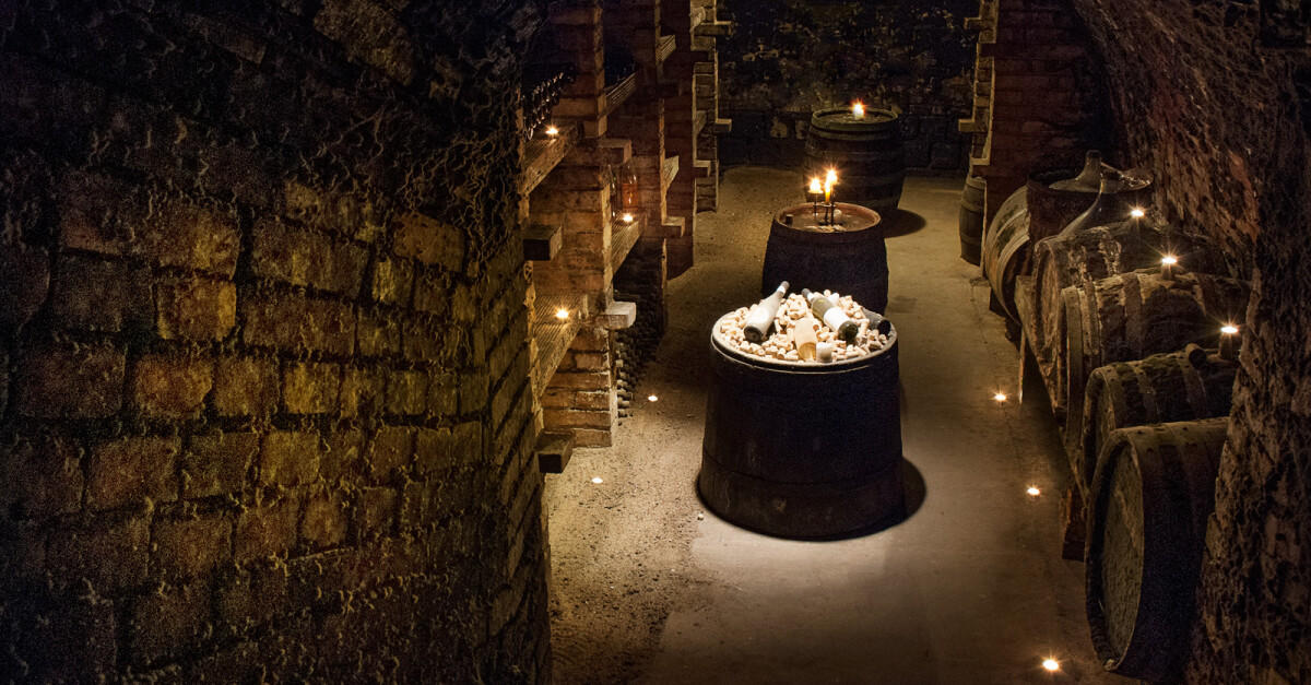 Wine Tasting & Gala Dinner Experience in Moravia | Winetourism.com
