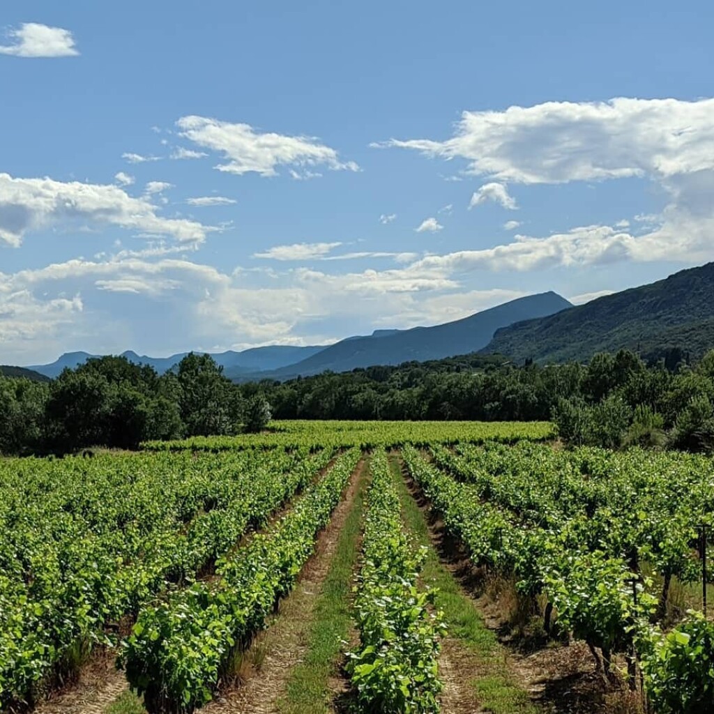 Terre des 2 Sources - Winery in Languedoc-Roussillon | Winetourism.com