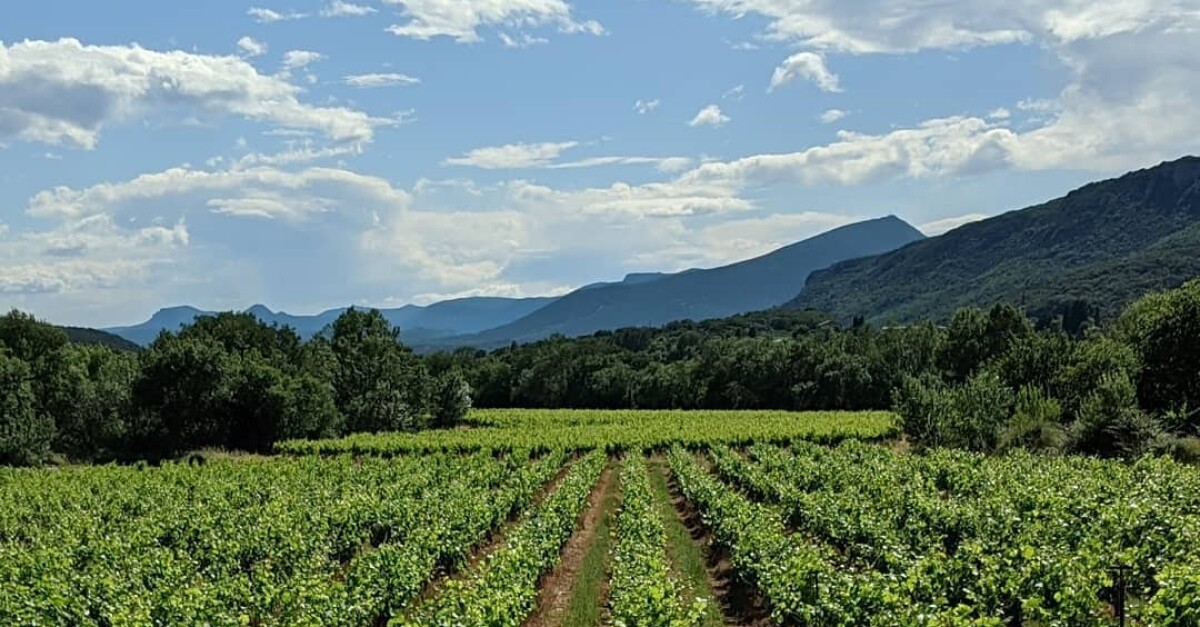 Terre des 2 Sources - Winery in Languedoc-Roussillon | Winetourism.com