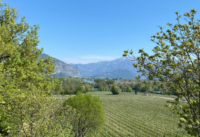 Best Discover Lombardy wines staying in an authentic Corte in Como Lake ...