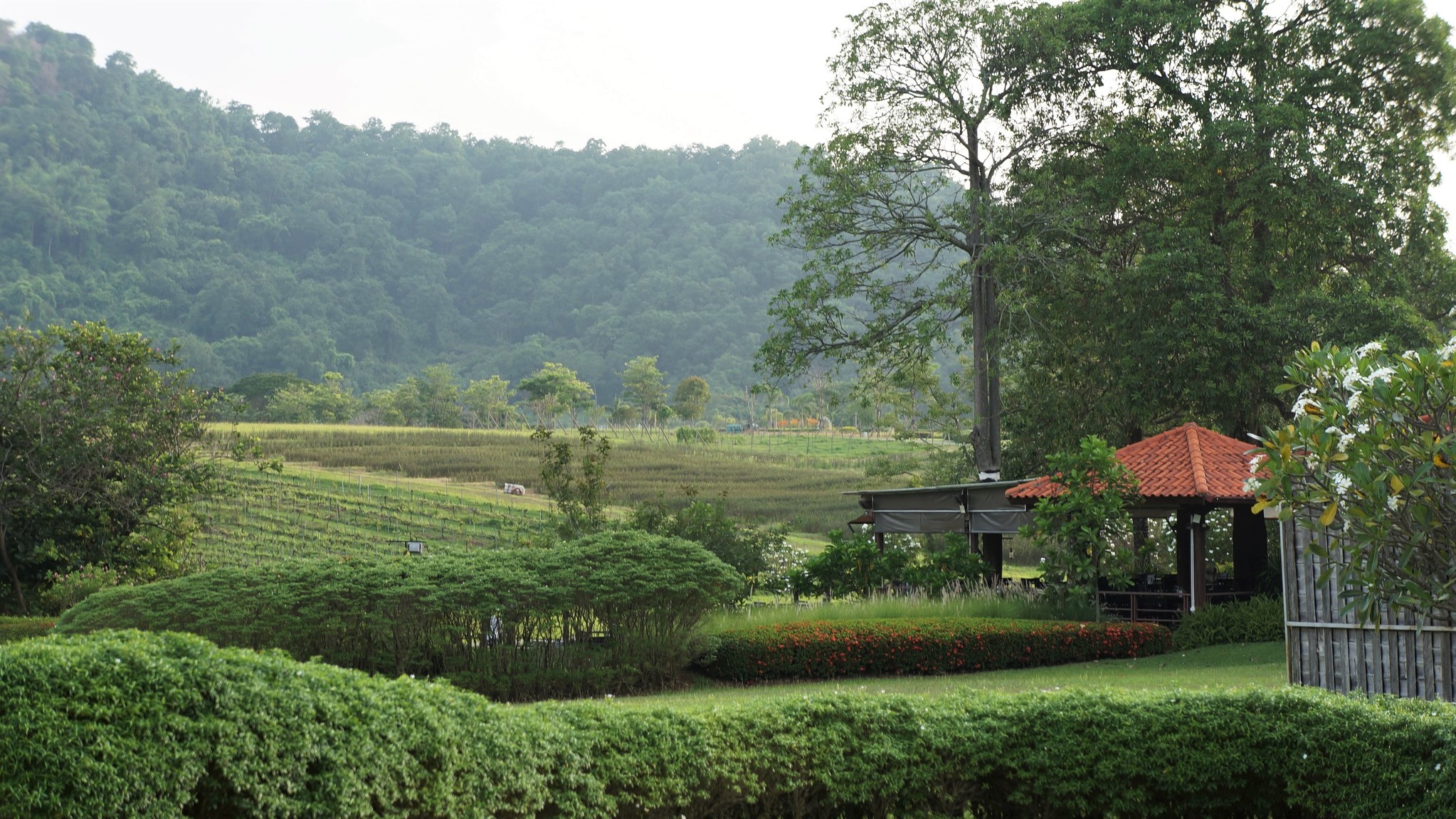 PB Valley Khao Yai Winery - Wine Tasting and Tour at PB Valley Khao Yai ...