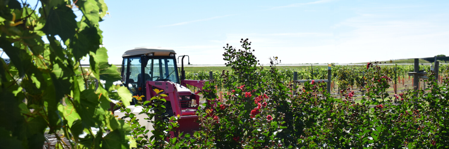 Wyldewood Cellars Winery - Winery in Kansas | Winetourism.com