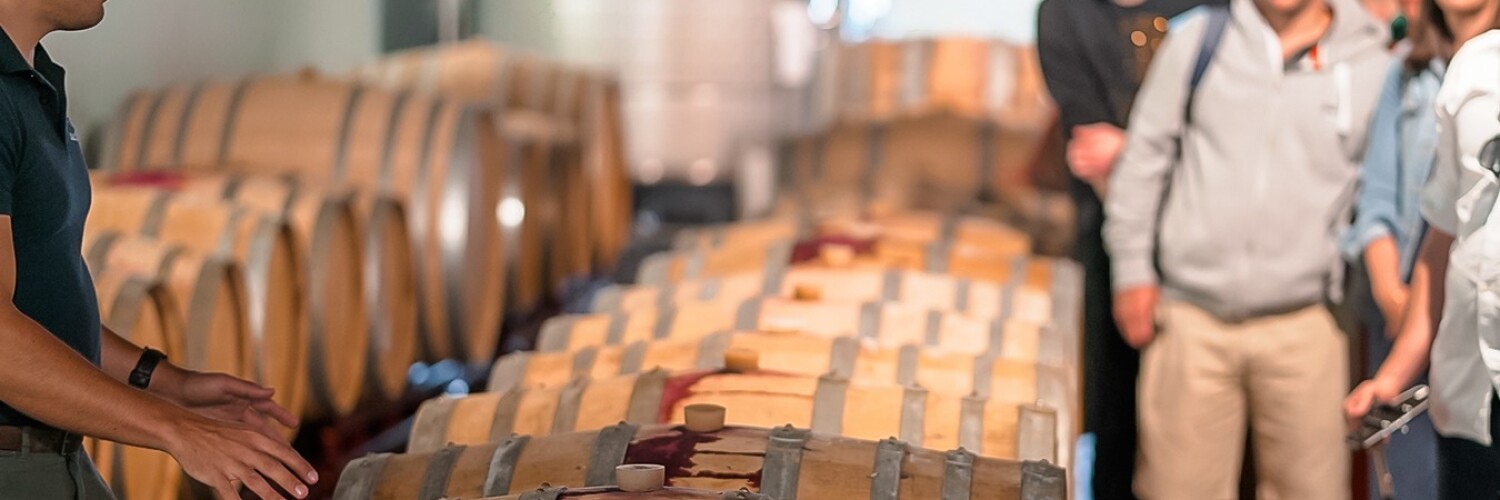 Casal Sta. Maria - Casal Sta. Maria Classic Tour in Lisbon Wine Region ...