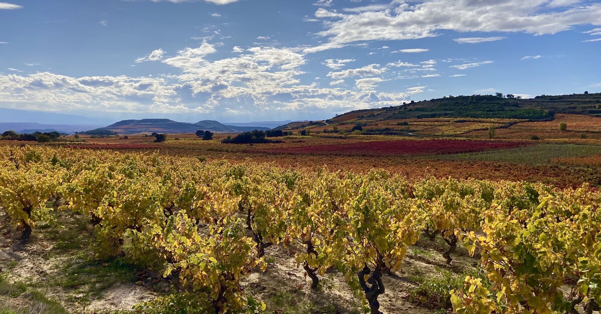 Full day tour to Rioja - Guided Wine Tour in Rioja | WineTourism.com