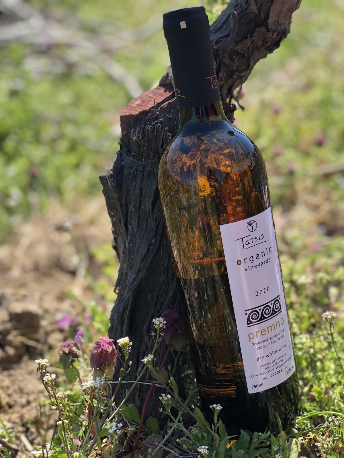 Ktima Tatsis - Wine Tasting of 3 Labels and Guided Tour in the Winery ...