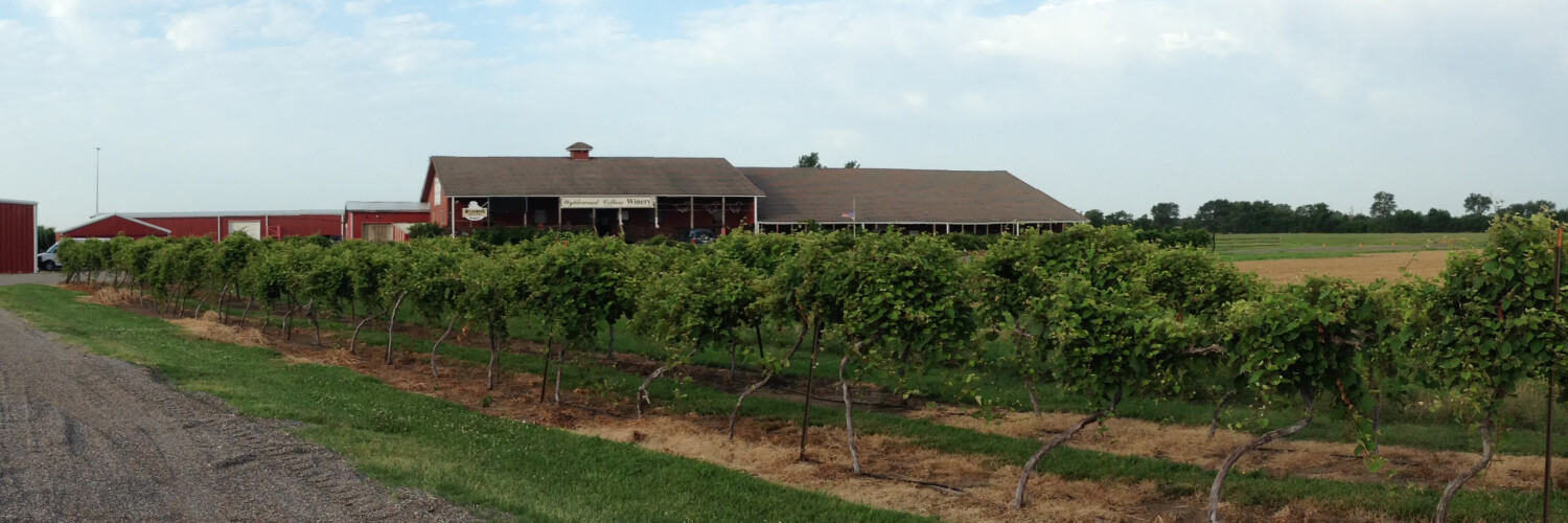 Wyldewood Cellars Winery - Winery in Kansas | Winetourism.com