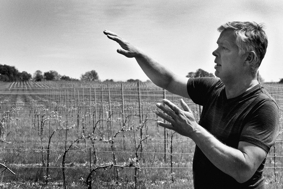 Westwell Wine Estates - Winery in South East England | Winetourism.com