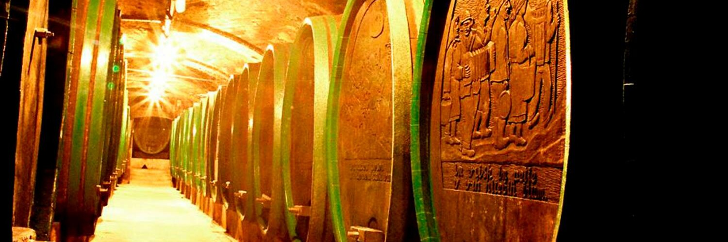 Ptujska klet / Pullus Wines - Basic Tasting and Tour at Pullus Wines in ...