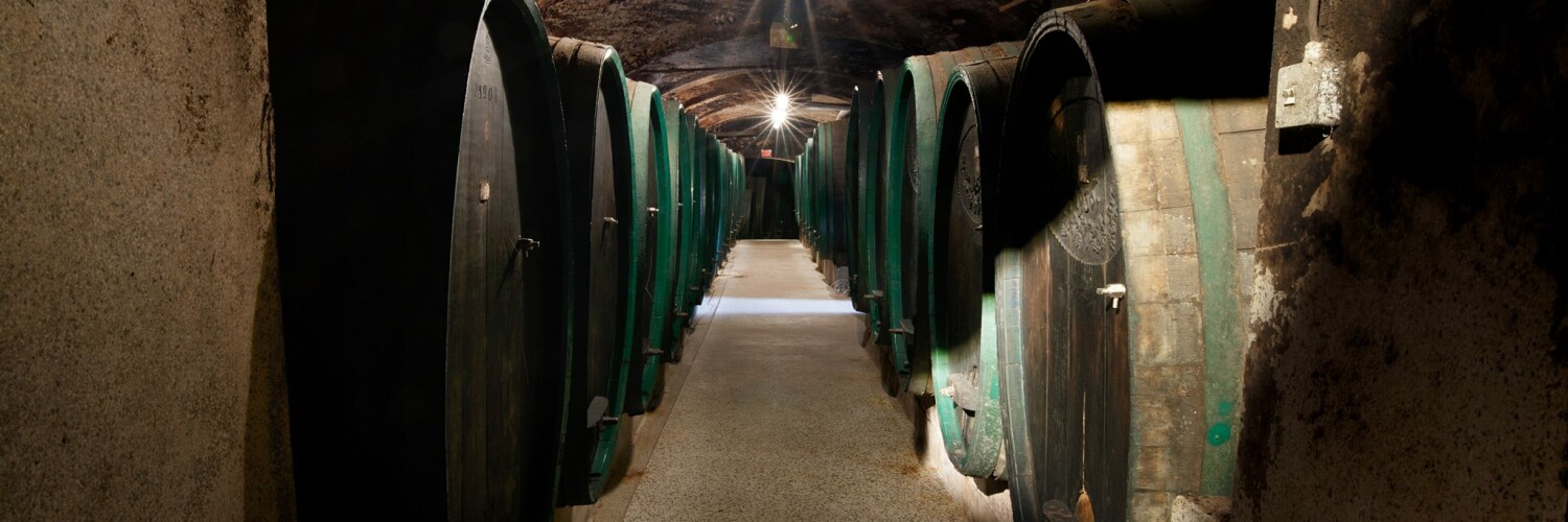 Ptujska klet / Pullus Wines - Winery in Podravska | Winetourism.com