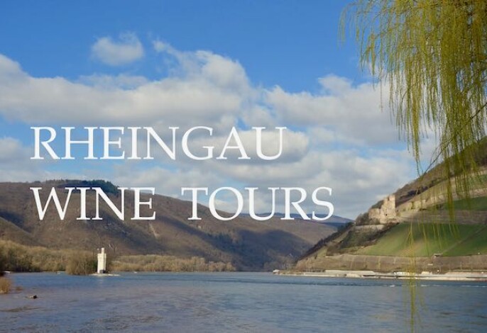 Wine Experiences from around the world | Winetourism.com