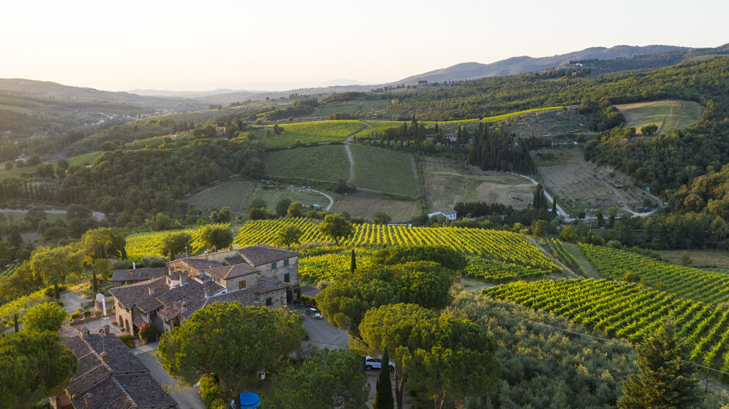 Savignola - Wine Tasting & Tour | Winetourism.com