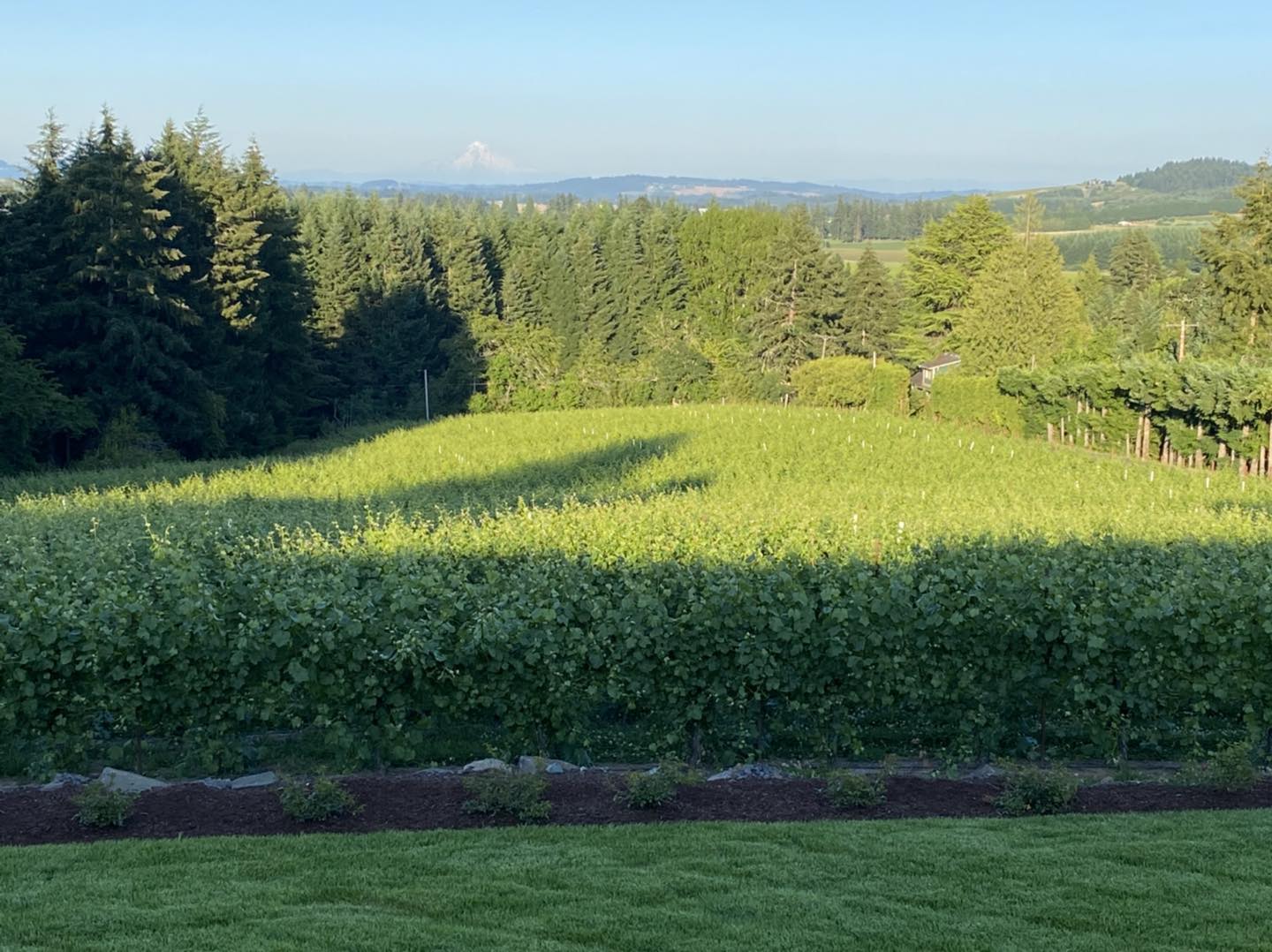 Sidereus Winery - Wine Tasting at Sidereus Winery in Oregon ...