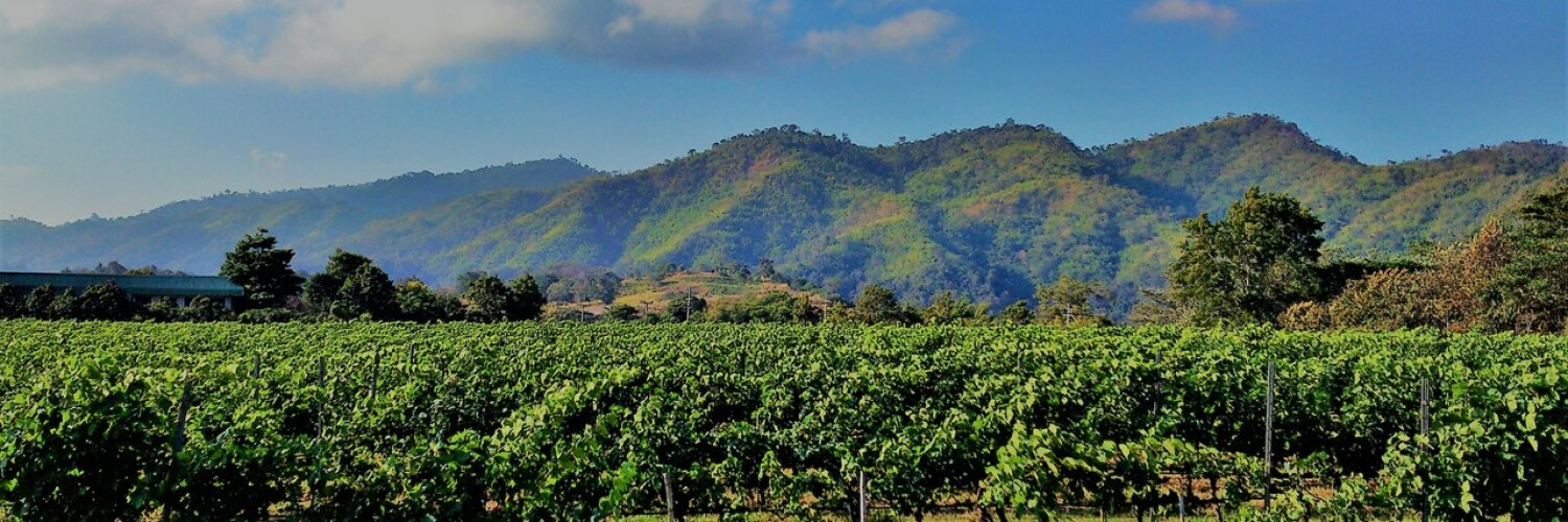 PB Valley Khao Yai Winery - Wine Tasting and Tour at PB Valley Khao Yai ...