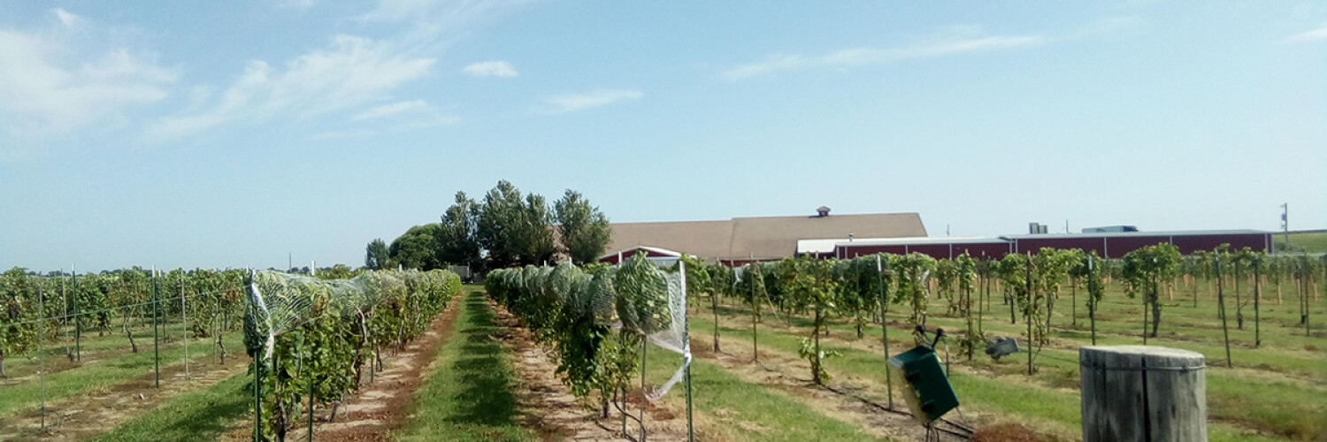 Wyldewood Cellars Winery - Winery in Kansas | Winetourism.com